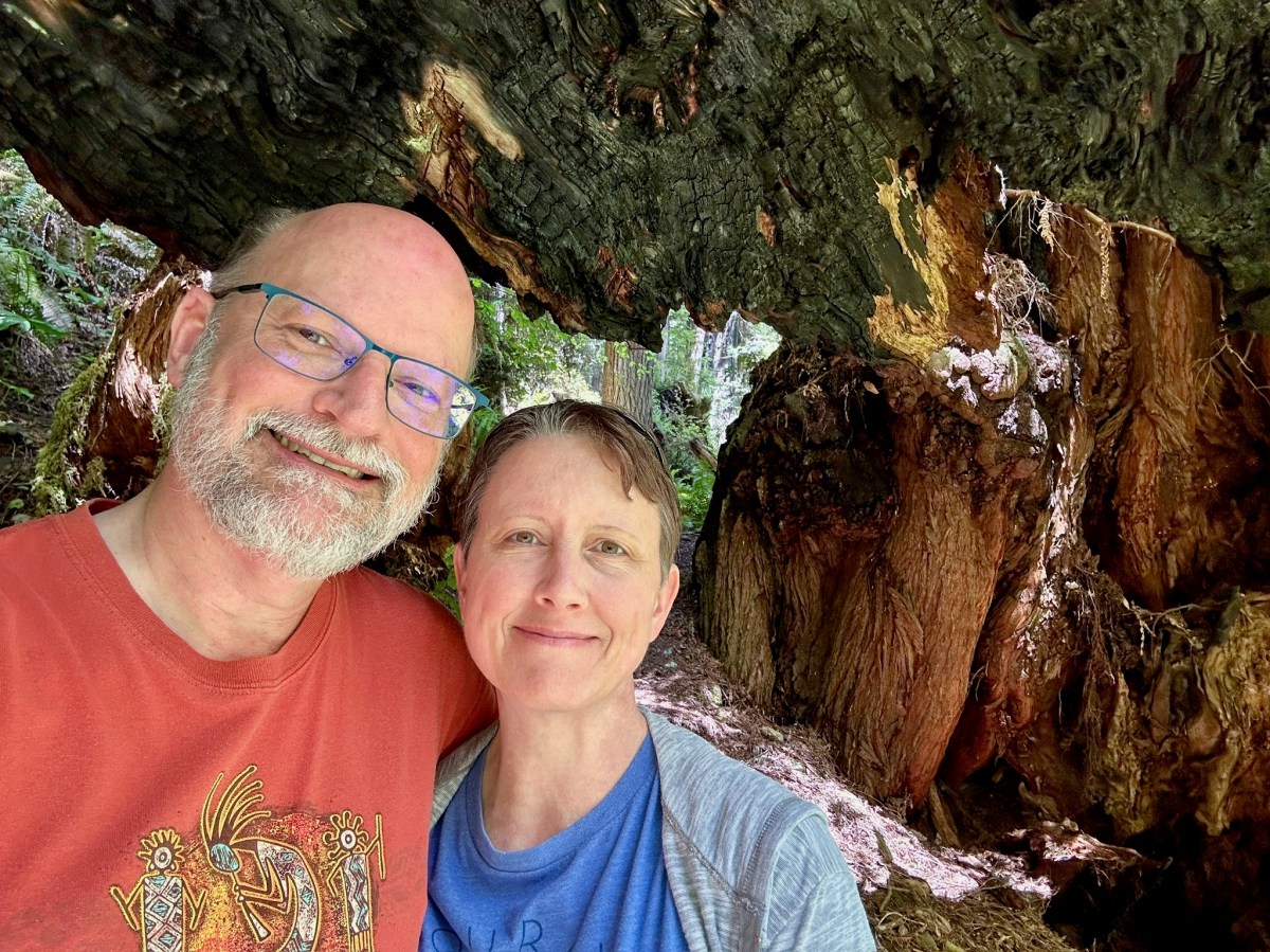 Redwoods Trip VI: Prairie Creek Redwoods Walks | MEADOR.ORG